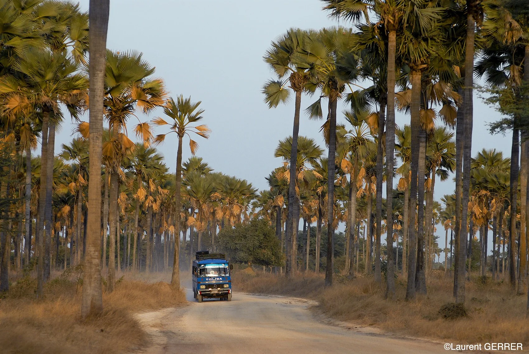 Travel Sensations | Découvrez nos circuits : Sénégal
